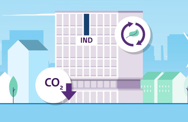 Our organisation | IND